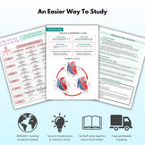 Next Generation NCLEX Study Bundle – Amazing Nursing